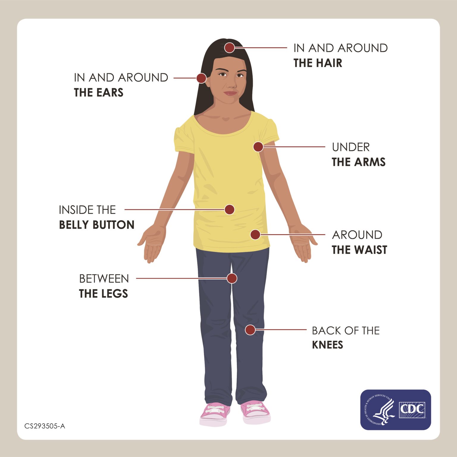 Prevent Tick Bites - Cambridge Public Health Department